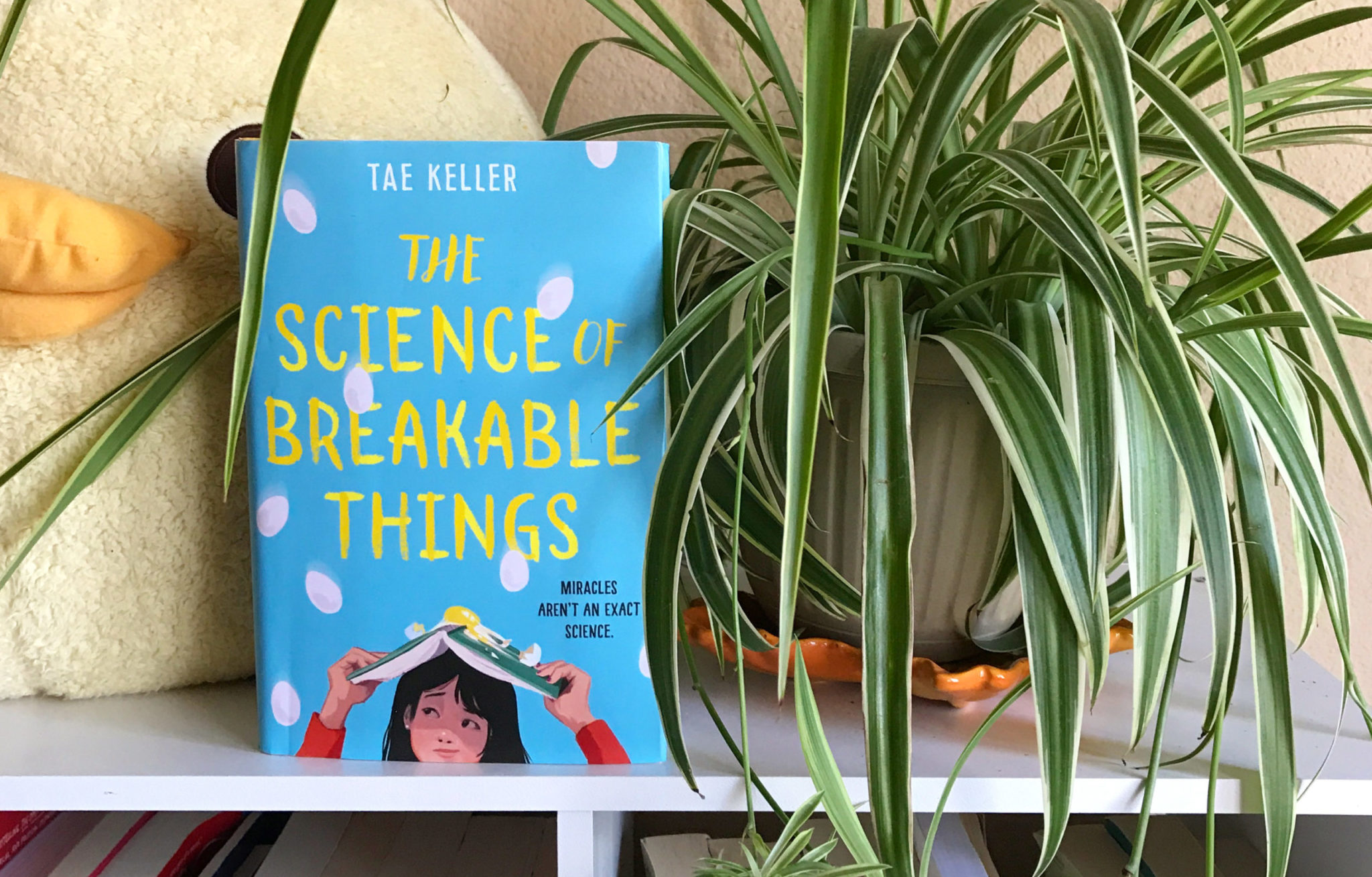 Review: The Science of Breakable Things Gets to the Yolk of Human ...