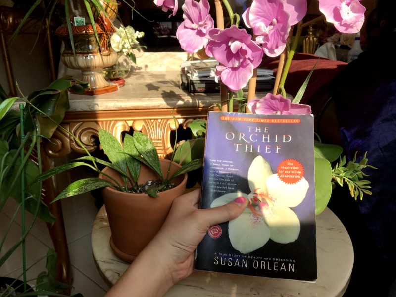 Review: Susan Orlean's The Orchid Thief Takes a Deep Dive Into the ...