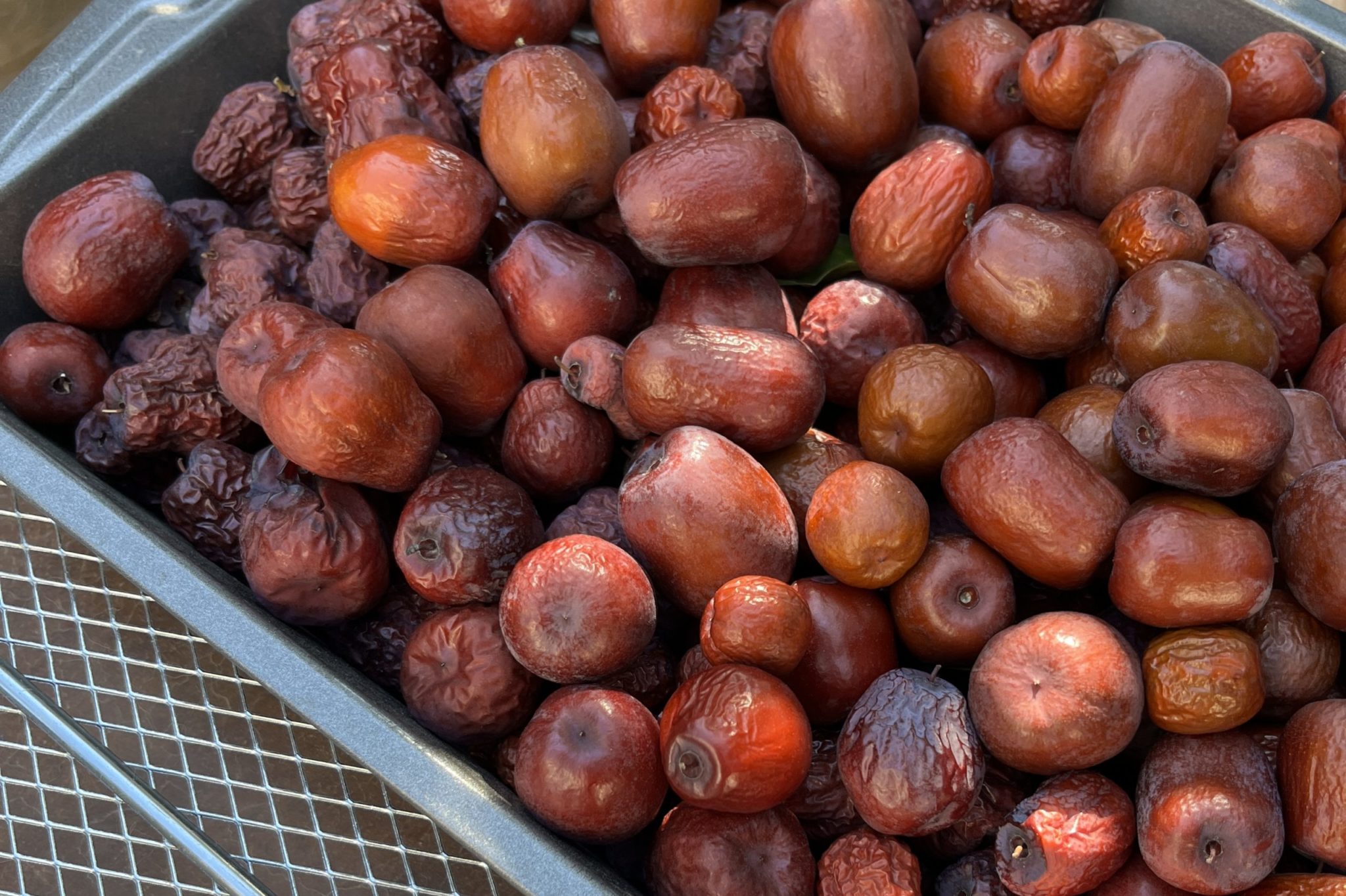 Brewing Jujube Tea from Homegrown Jujubes