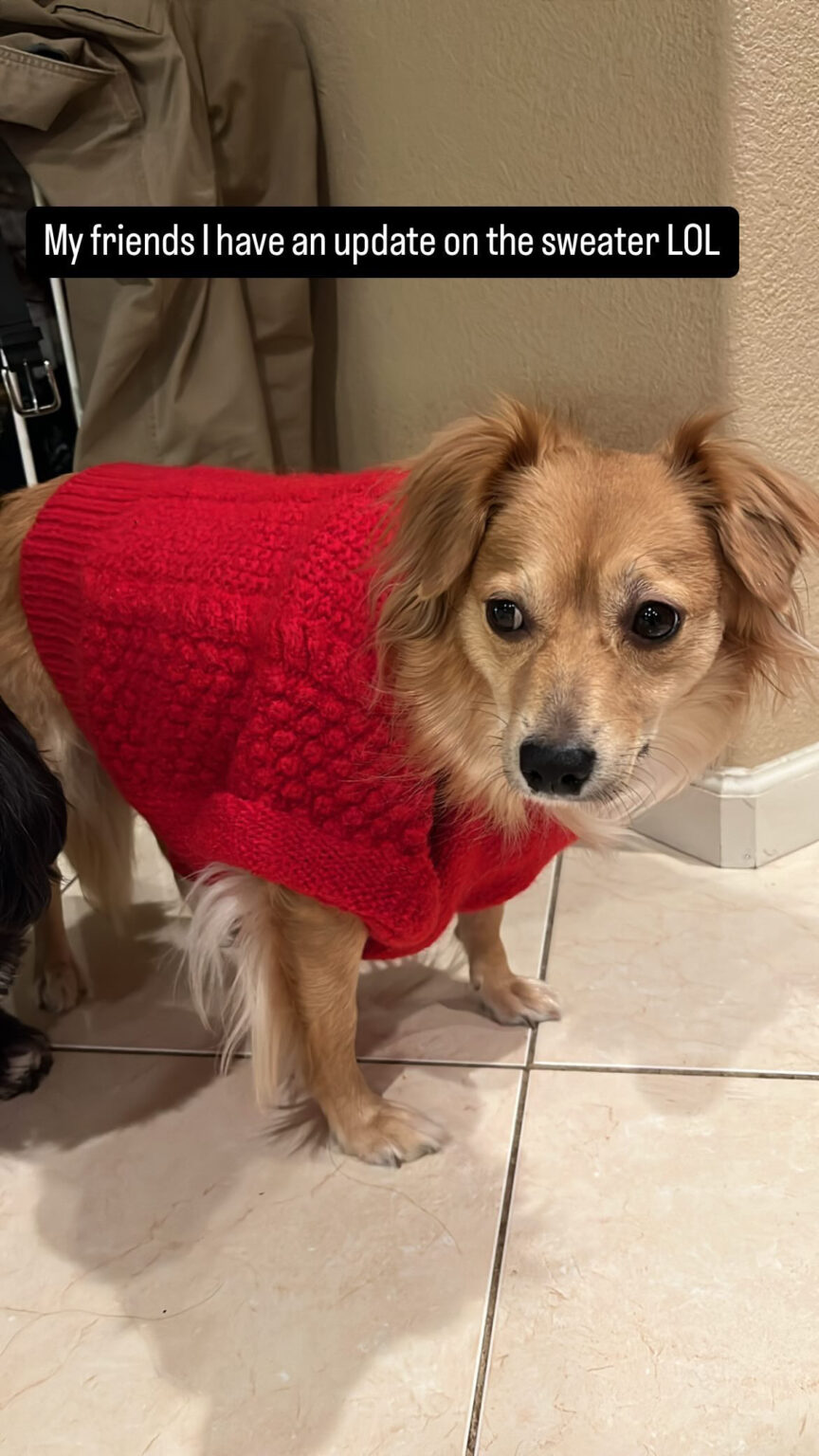 How to Clean a Secondhand Wool Sweater